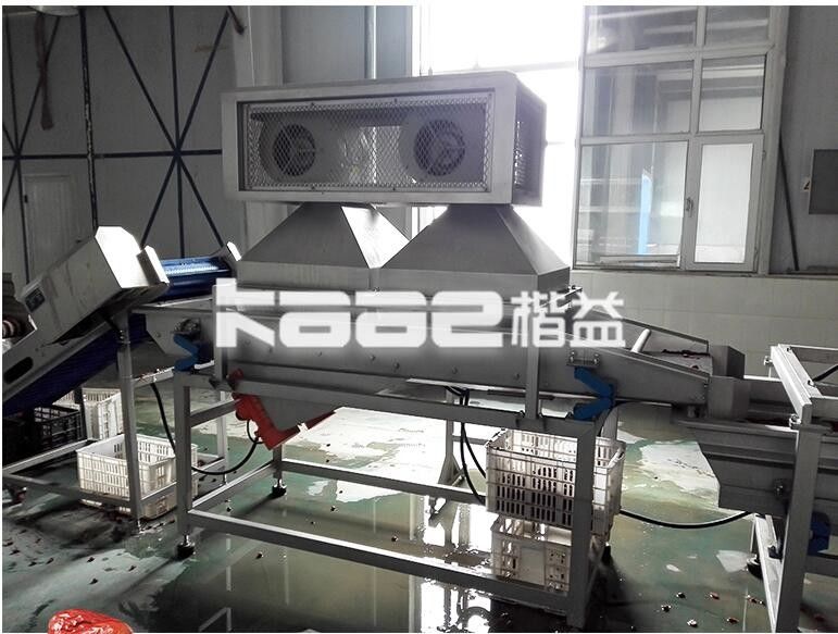 Turnkey Dates Processing Machinery Palm Dates Sorting Drying Washing ... Turnkey Dates Processing Machinery Palm Dates Sorting Drying Washing ...